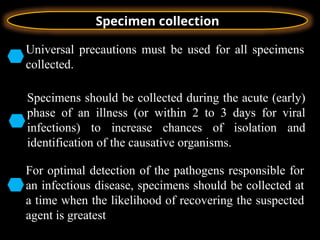 Specimen collection gnjbbvvjnbvvvbmvccch | PPT | Free Download