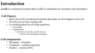 Lecture 4 - Introduction to Cell Biology 23-24.pdf