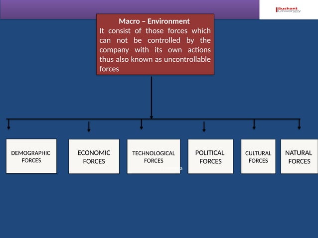 LECTURE 4.pptx introduction to marketing environment | PPT