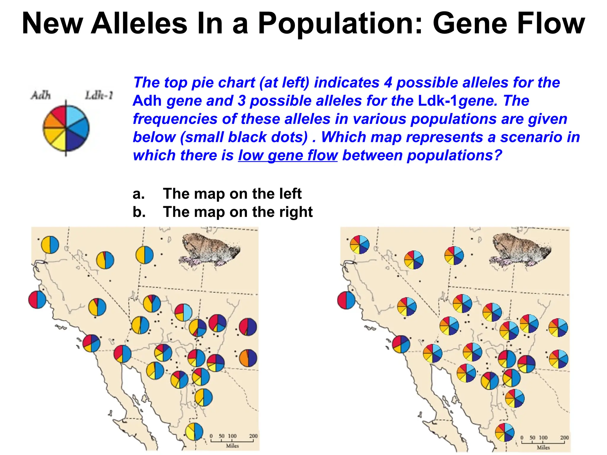 Lecture 4.6 - Mutation, Gene Flow, & Natural Selection.pptx