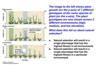 Lecture 4.6 - Mutation, Gene Flow, & Natural Selection.pptx