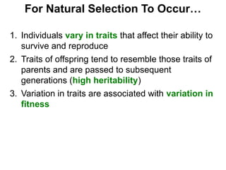 Lecture 4.6 - Mutation, Gene Flow, & Natural Selection.pptx