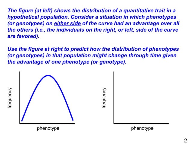Lecture 4.7 - Directional, Stabilizing & Disruptive Selection.pptx