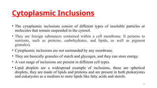 Principle of cellular life structure and function | PPTX