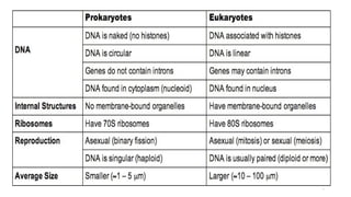 Principle of cellular life structure and function | PPTX