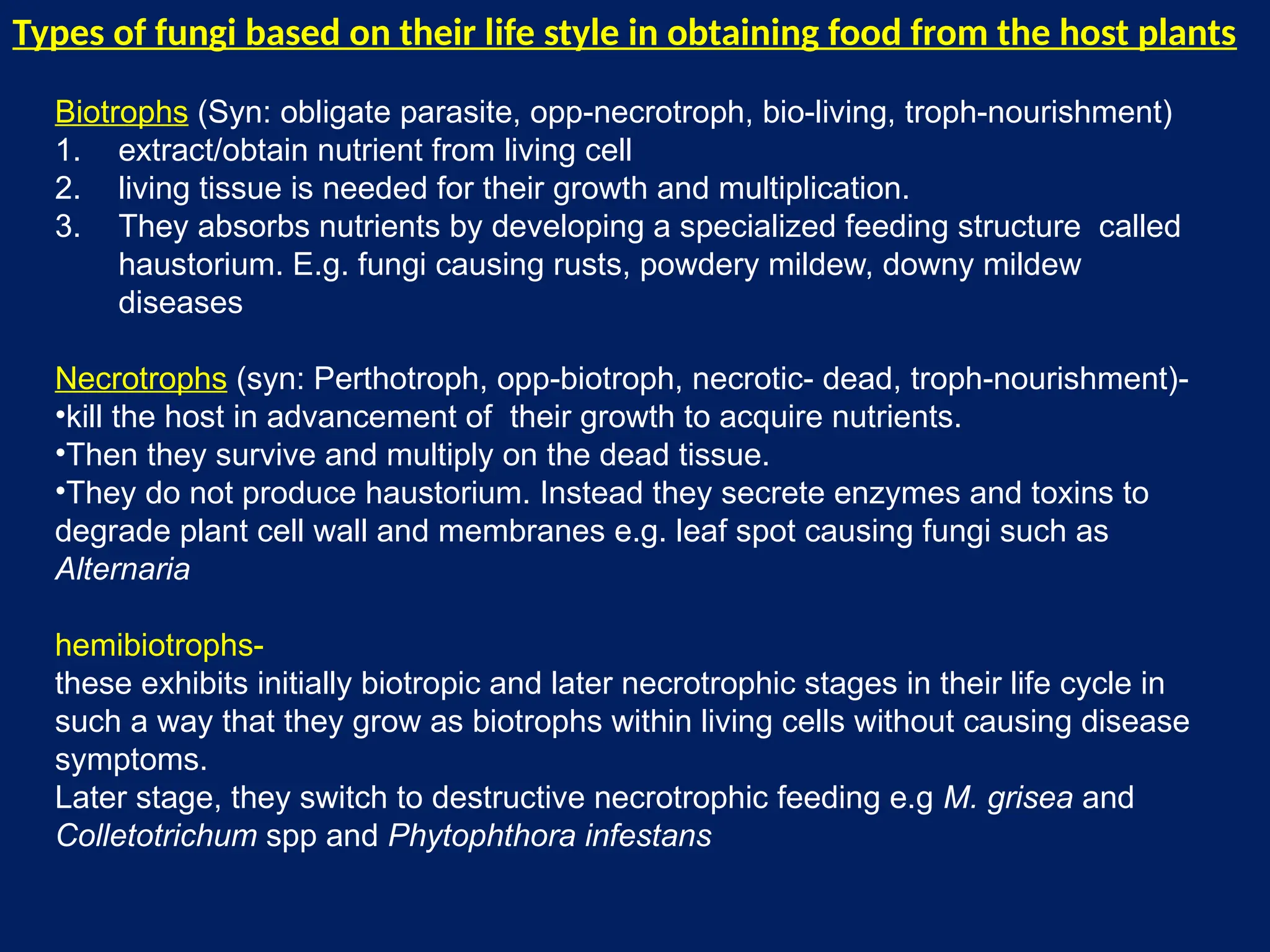 pl pathology- fungal cell structure.pptx