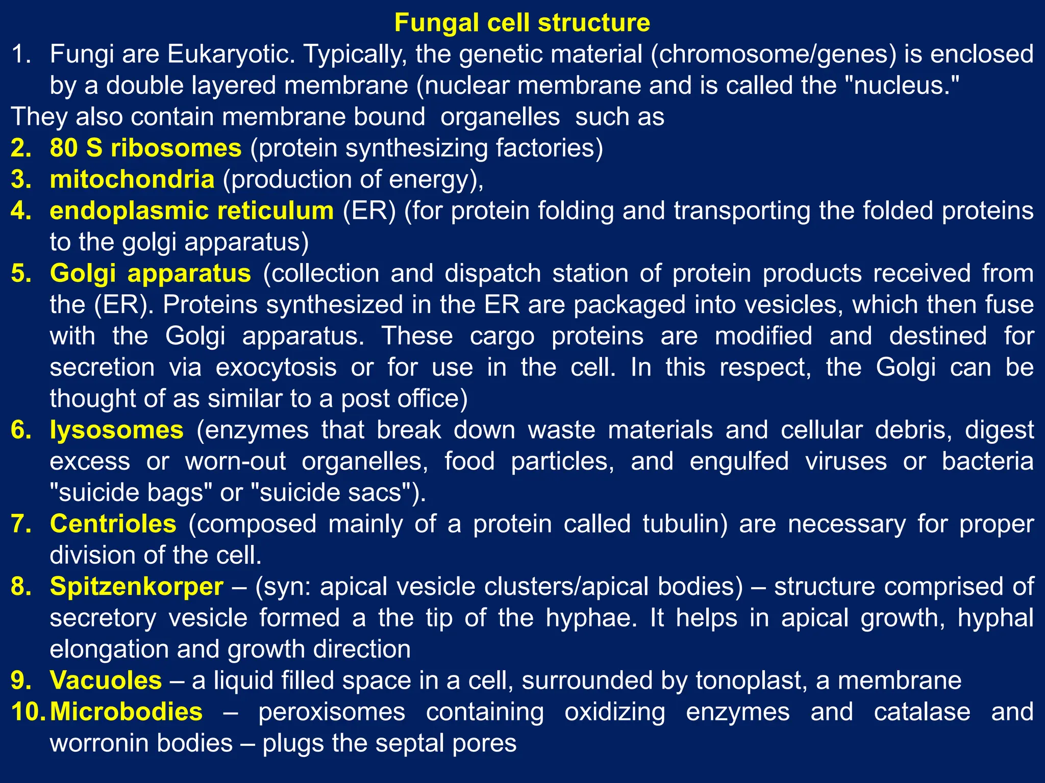 pl pathology- fungal cell structure.pptx