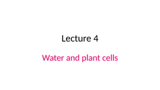 LECTURE 4: Water and plant cells in plant physiology | PPTX