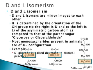 Lecture 4 5 carbohydrates | PPT