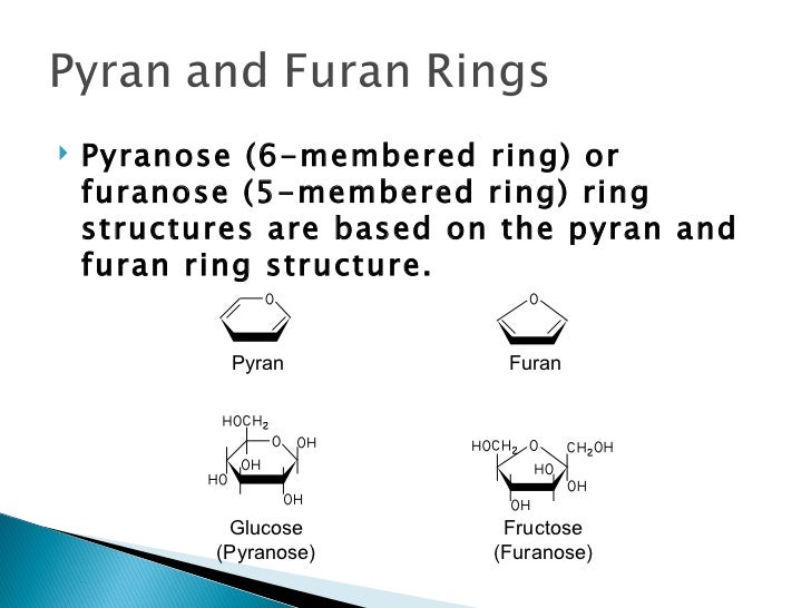 Lecture 4 5 carbohydrates