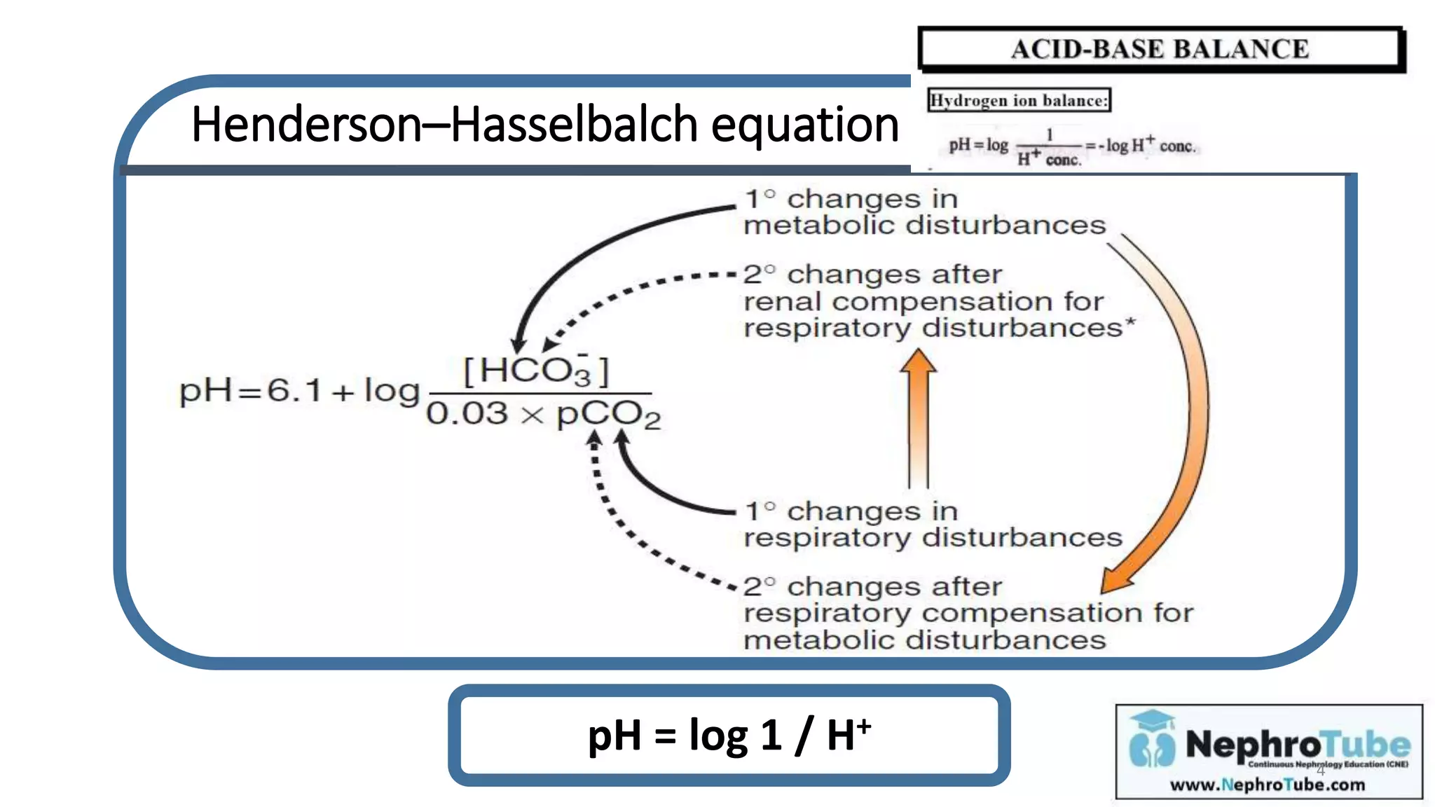 Back to Basics: Renal Physiology (Normal Acid base balance) - Dr. Gawad ...