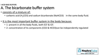 Back to Basics: Renal Physiology (Normal Acid base balance) - Dr. Gawad ...