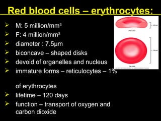 Lecture4 blood | PPT