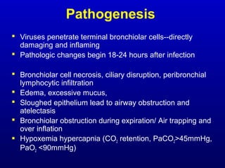 bronchiolitis and bronchitis | PPT