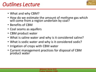 COAL BED METHANE (CBM) | PDF