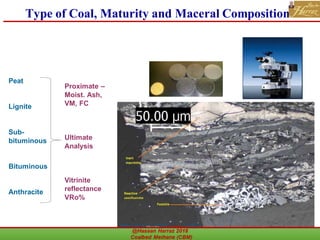 COAL BED METHANE (CBM) | PDF