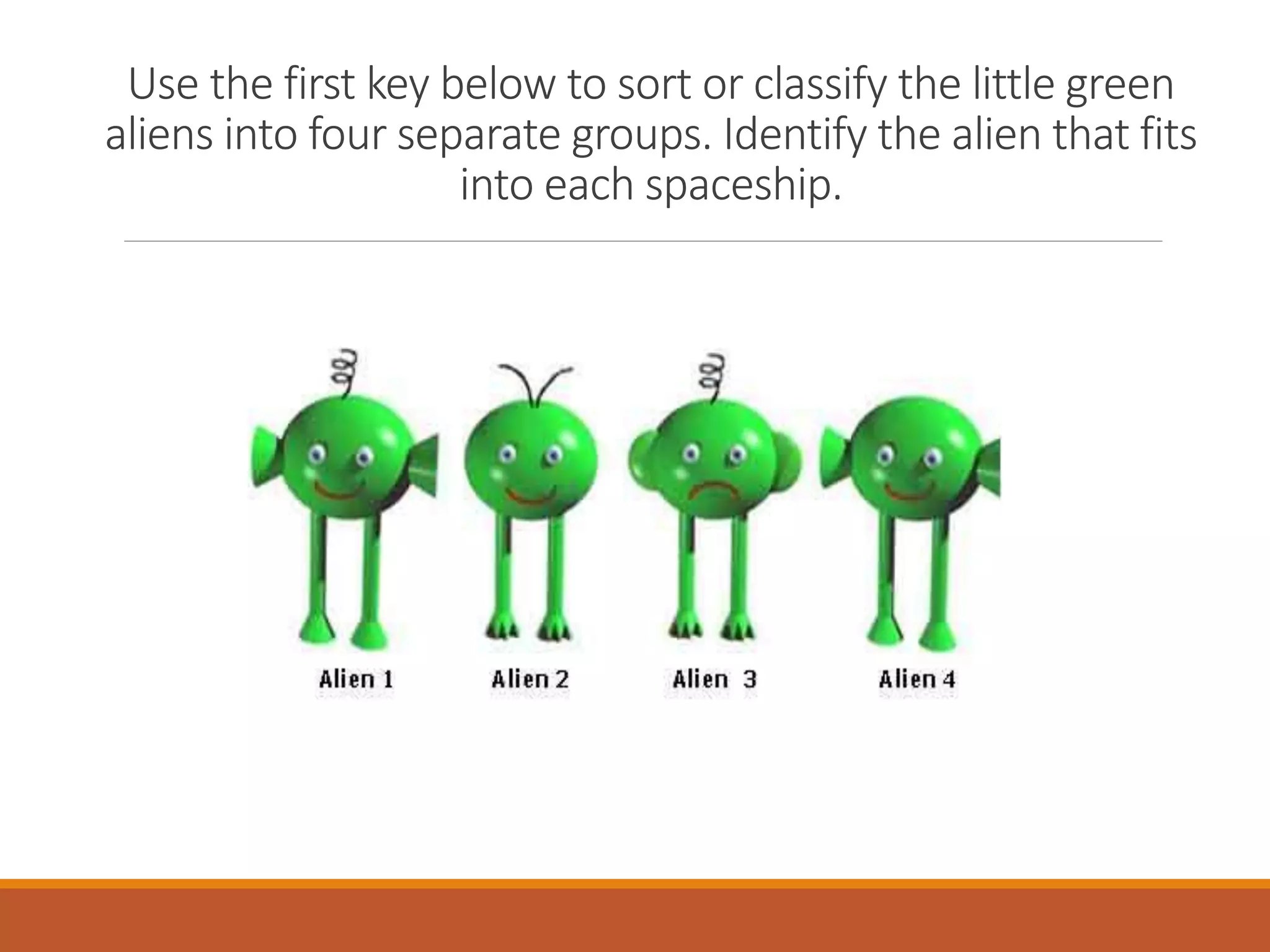 Lecture 4 classification | PPTX