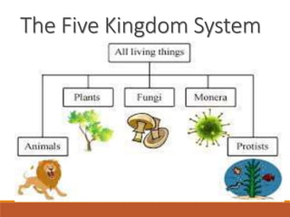 Lecture 4 classification | PPTX