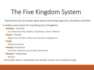 Lecture 4 classification | PPTX