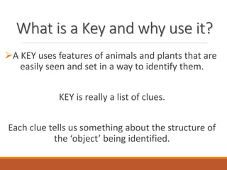 Lecture 4 classification | PPTX
