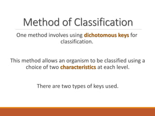 Lecture 4 classification | PPTX