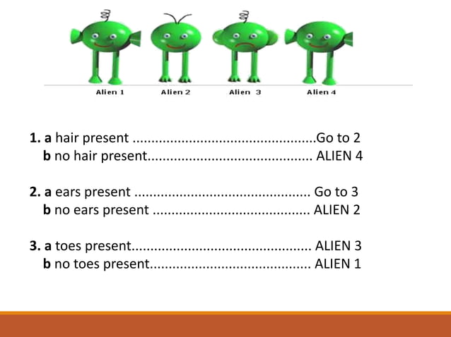 Lecture 4 classification | PPTX