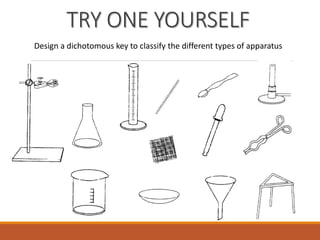 Lecture 4 classification | PPTX