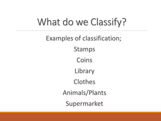 Lecture 4 classification | PPTX