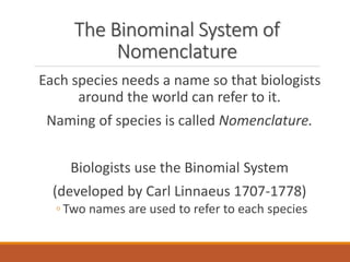 Lecture 4 classification | PPTX