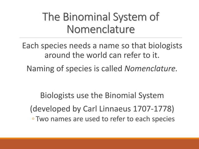 Lecture 4 classification | PPTX