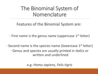 Lecture 4 classification | PPTX