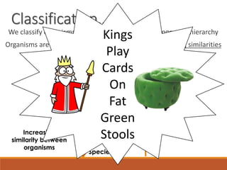 Lecture 4 classification | PPTX
