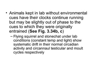 Lecture 4 hormones and behaviour | PPT