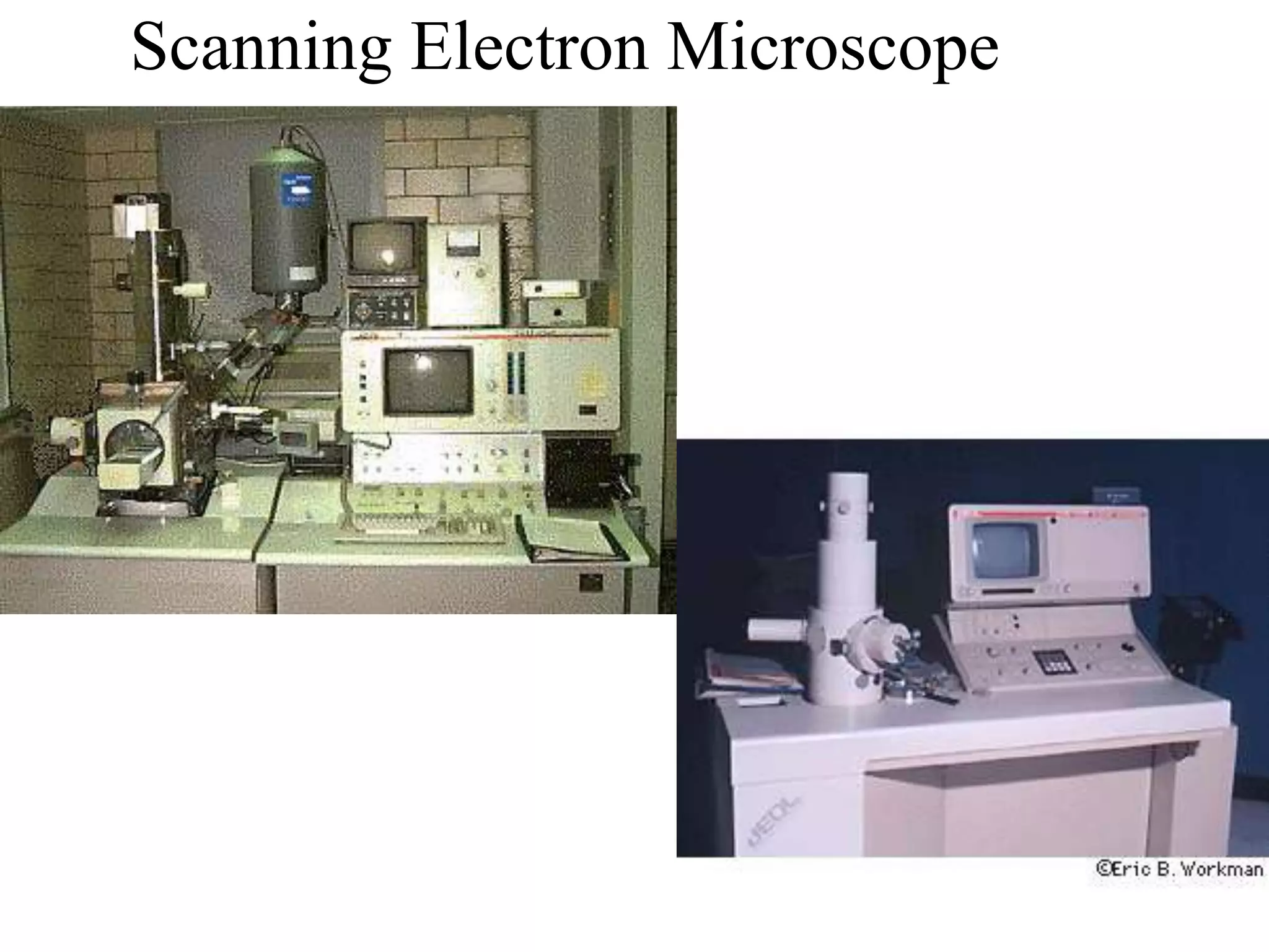 lecture4-konsep dasar SEM.ppt | Free Download