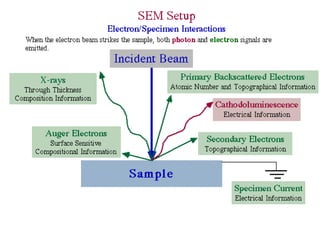 lecture4-konsep dasar SEM.ppt