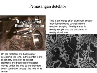 lecture4-konsep dasar SEM.ppt