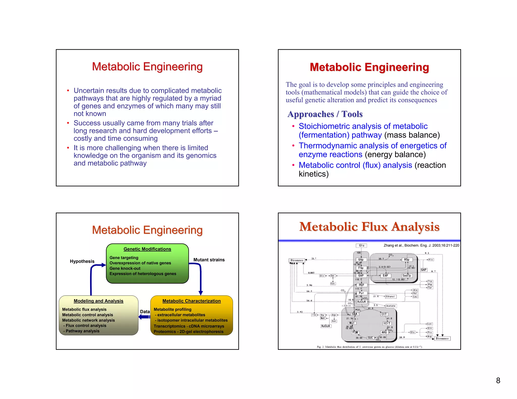 Lecture 4 metabolic pathway eng | PDF