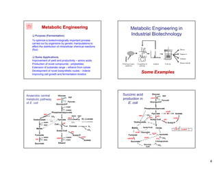 Lecture 4 metabolic pathway eng | PDF