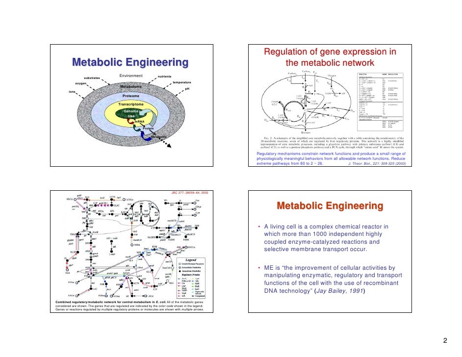Lecture 4 metabolic pathway eng