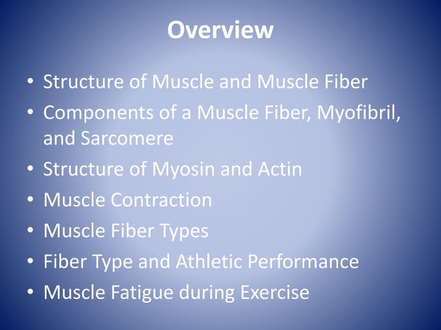 Lecture 4 muscle physiology(1) | PPTX