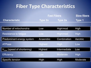Lecture 4 muscle physiology(1) | PPTX