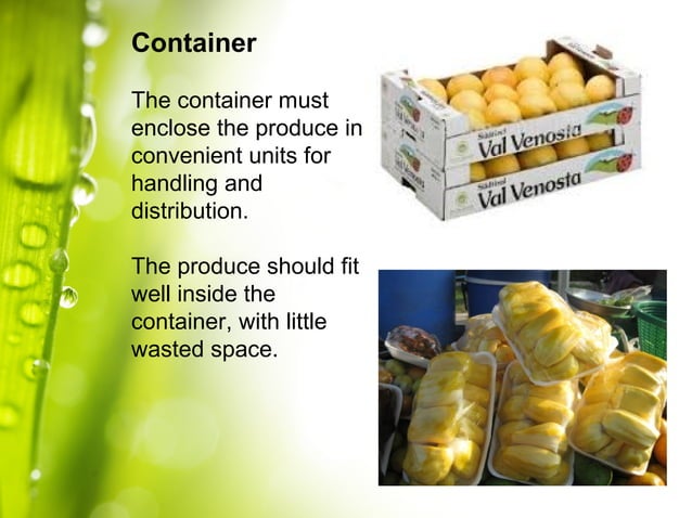 Lecture 4: Packaging Operations on Fruits and Vegetables | PPT ...