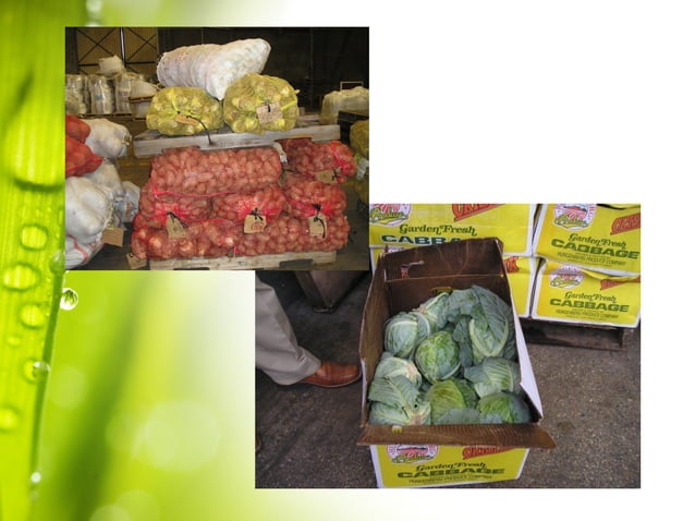 Lecture 4: Packaging Operations on Fruits and Vegetables | PPT ...