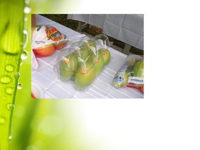 Lecture 4: Packaging Operations on Fruits and Vegetables | PPT ...