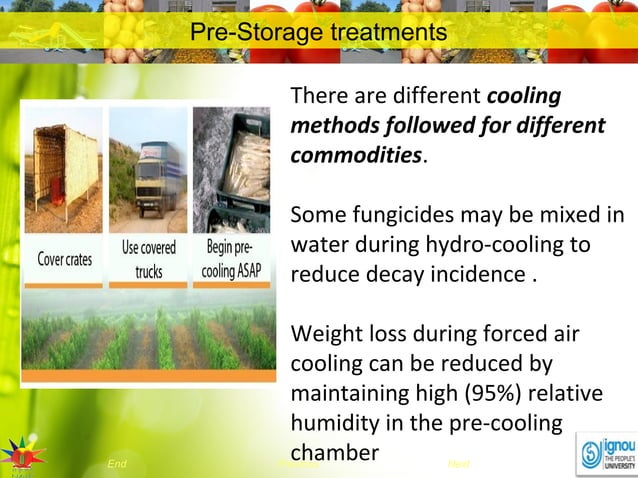 Lecture 4: Packaging Operations on Fruits and Vegetables | PPT ...