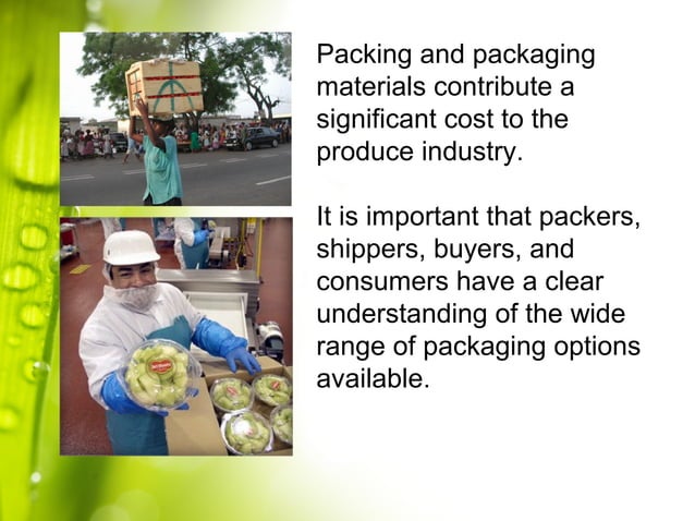 Lecture 4: Packaging Operations on Fruits and Vegetables | PPT ...