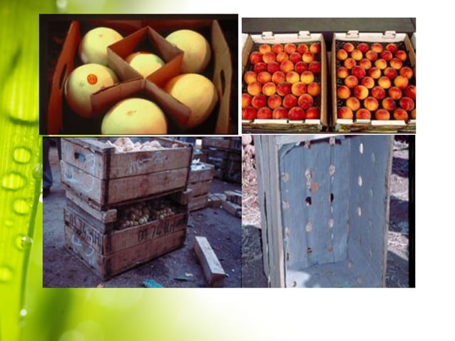 Lecture 4: Packaging Operations on Fruits and Vegetables | PPT ...