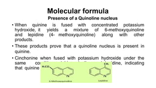 Lecture#4-Quinine.pptx
