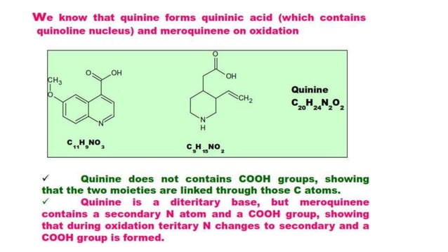 Lecture#4-Quinine.pptx | Chemistry | Science