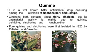 Lecture#4-Quinine.pptx